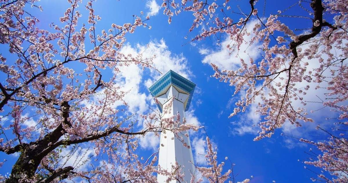 Hakodate, Matsumae, and Onuma Park Two-Day Scenic Tour in Hokkaido [Late April Departure to Five ...